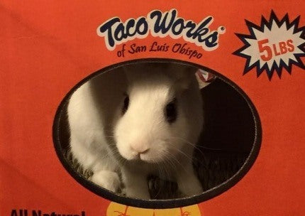 Bunny in a box... – Taco Works