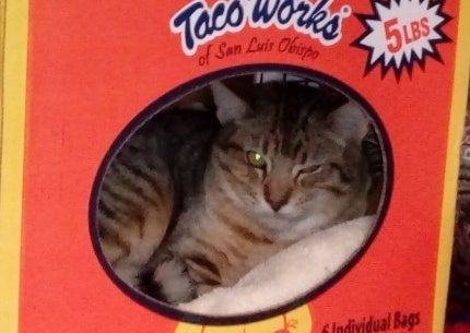 Taco Works boxes for Shelter Cats